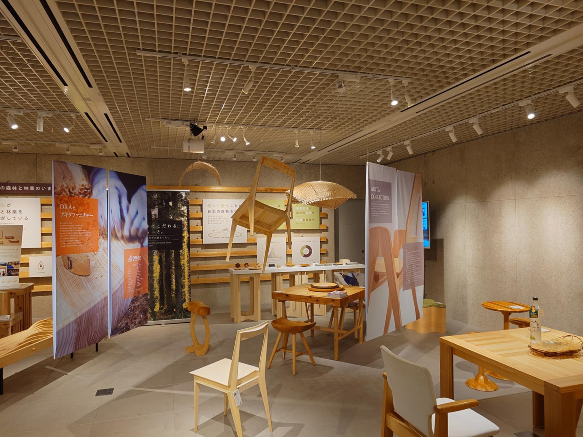 MOCTION AKITA 2024 | 秋田 COI-NEXT ソウゾウの森プロジェクト